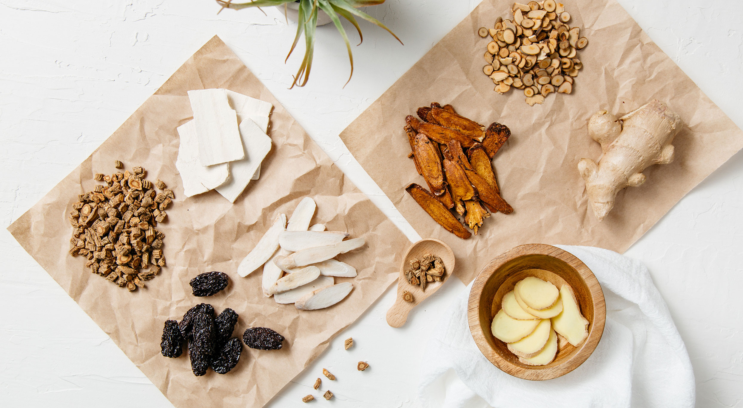 Cancer Chemoprevention And Therapy Using Chinese Herbal Medicine ...